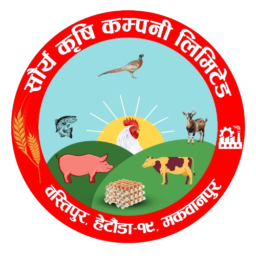 Saurya Krishi Company Limited